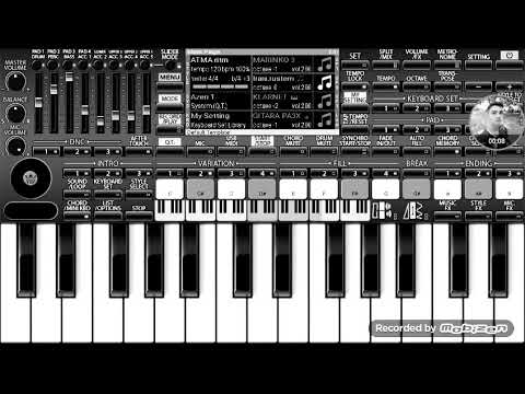 Rustem_Astarali org 2018 Ay uçan Quşlar 2019