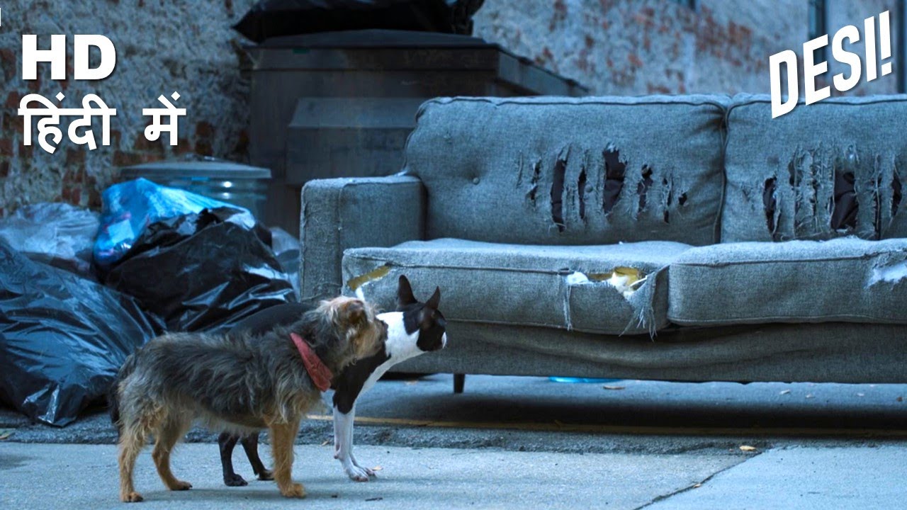 Strays (2023) - Fuck This Couch Scene in Hindi (1/4) | Desi Hollywood 3 ...