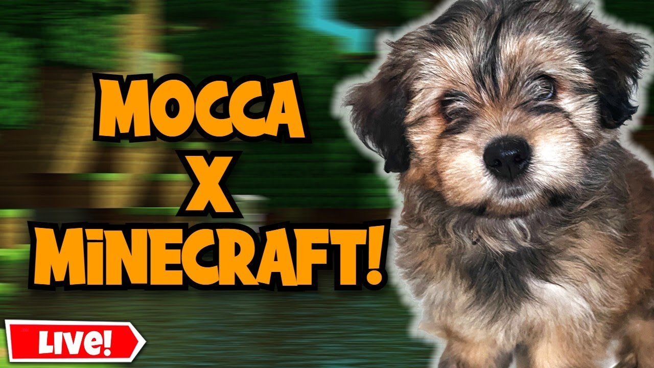 Live! SHOWING MY NEW PUPPY HERSELF IN MINECRAFT! (Puppy Cam) / apex ...