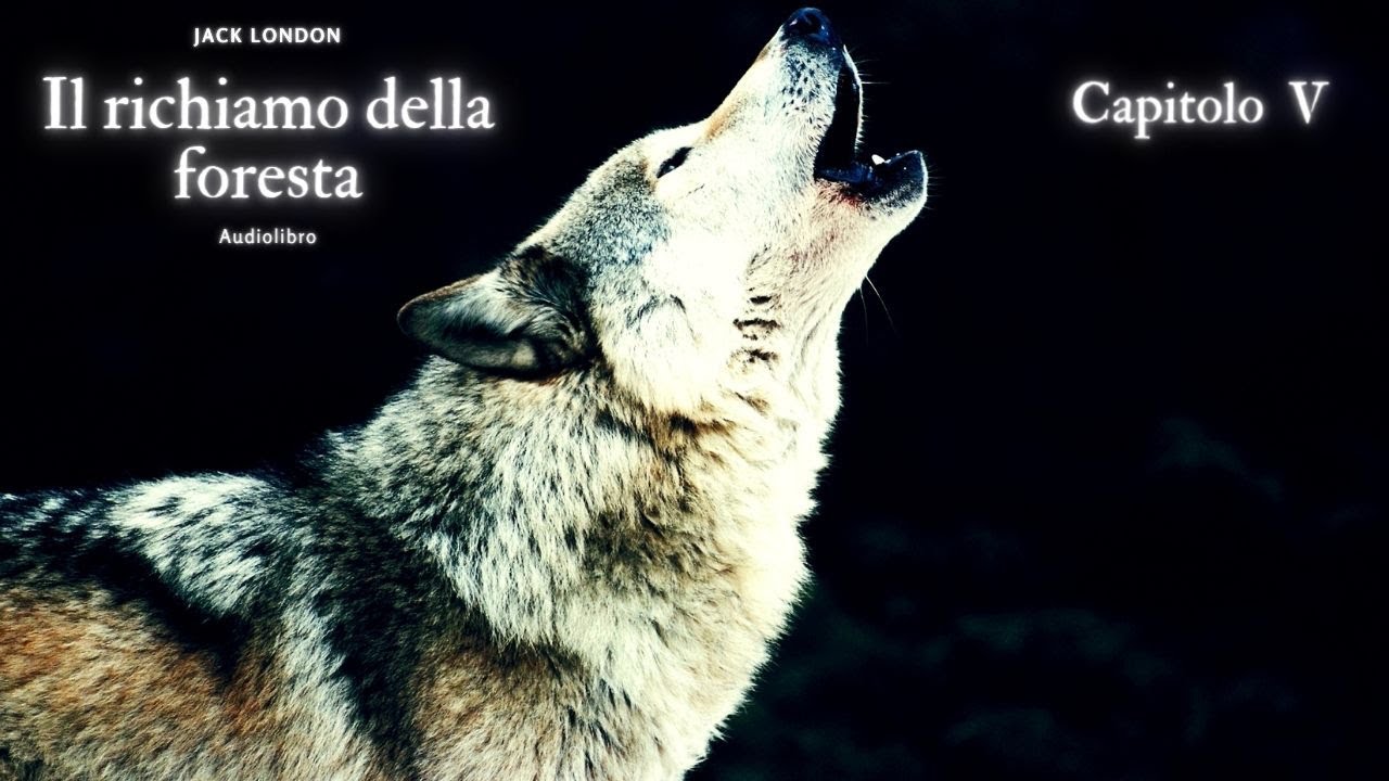 Il richiamo della foresta, Cap.V: La fatica della tirella e dell pista ...
