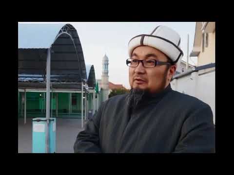 Сонун создор.