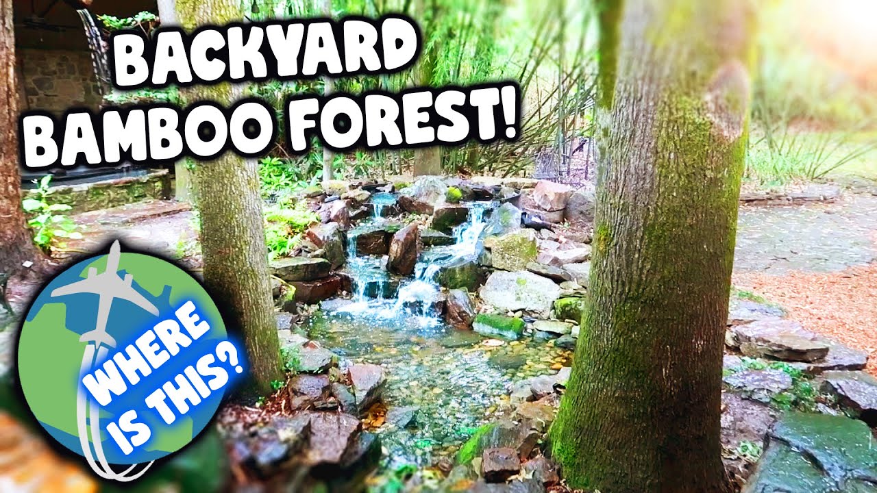 A WATERFALL Hidden in a Bamboo Forest! - YouTube