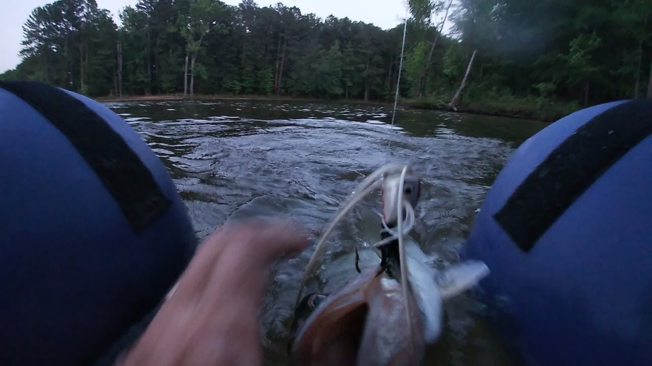 Float Tube Fly Fishing for Bass at Falls Lake N.C. at Sunset (Redington ...