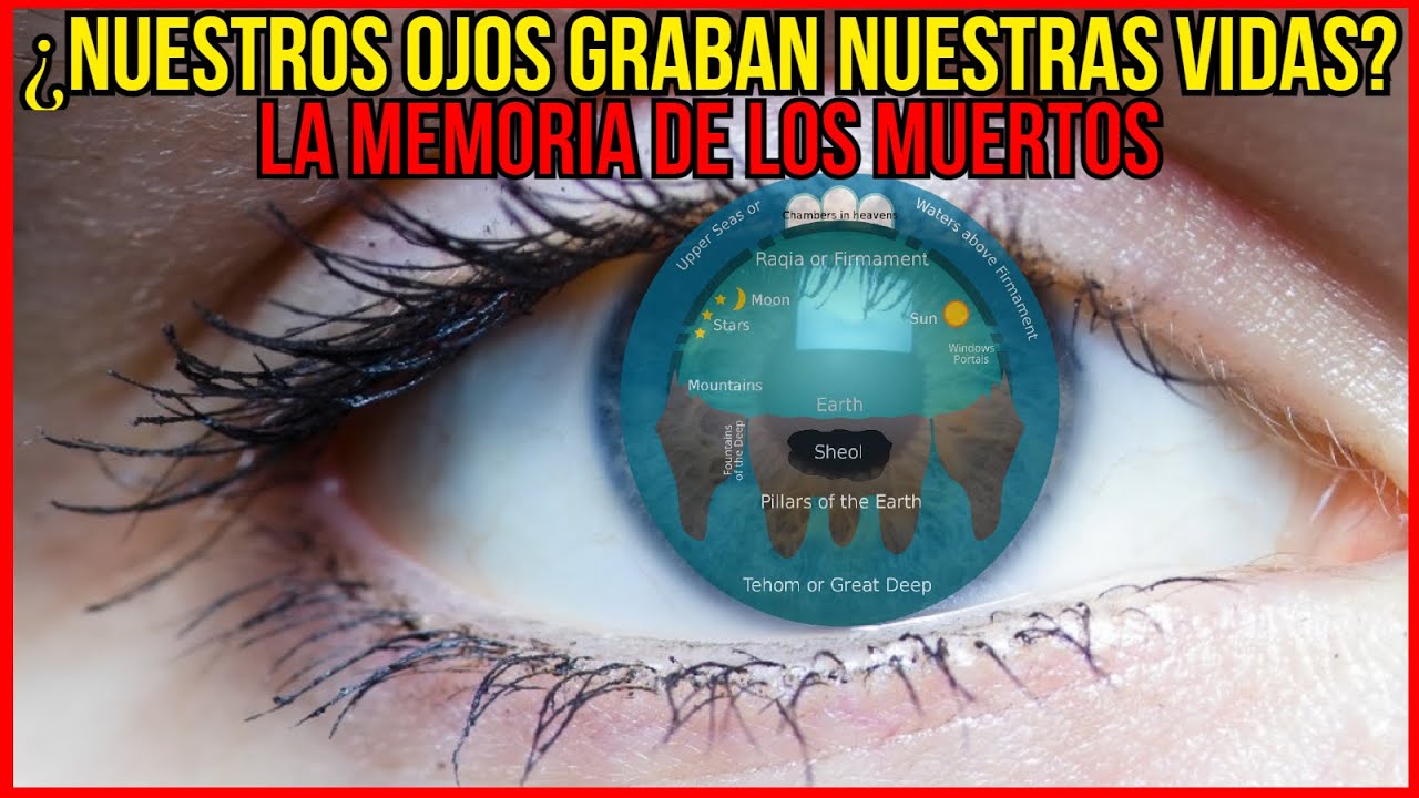 ¿NUESTROS OJOS GRABAN NUESTRAS VIDAS? LA MEMORIA DE LOS MUERTOS - YouTube
