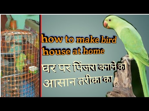 How make parrot Pinjra at home घर पर पिंजरा बनाने का आसान तरीका Tote ka ...