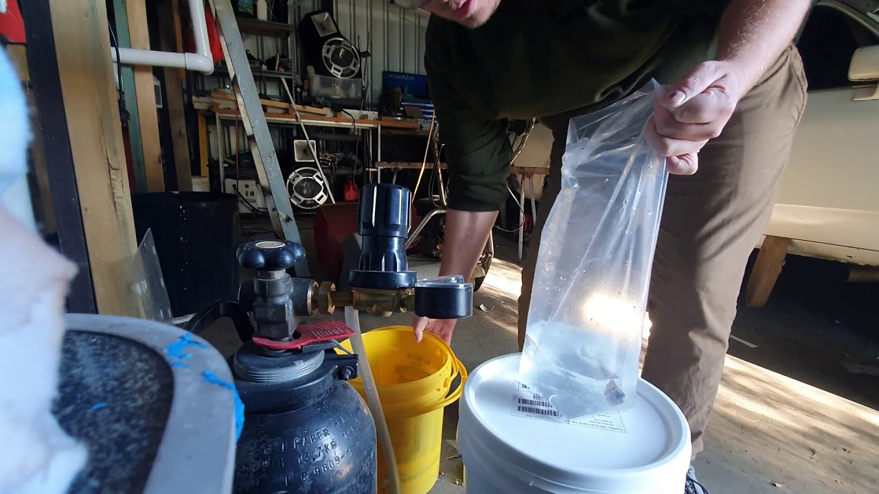 Bagging fish with oxygen for shipping - YouTube