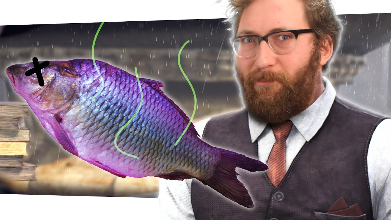 NOT THE FISH | THE SINKING CITY | Part 9 - YouTube