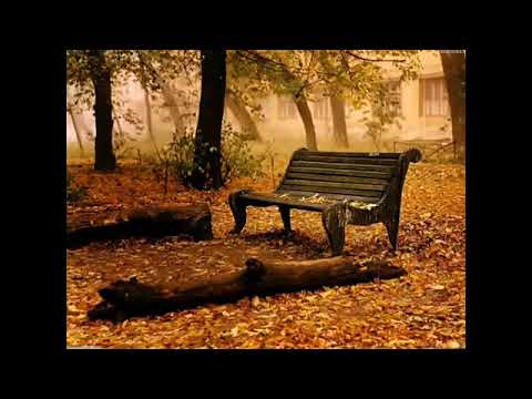 Duygusal Fon Müzik kolge savaşı #duygusal #fonmüzik