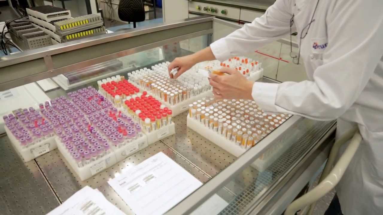 Eurofins Scaling a Global Testing Leader | CEO Gilles Martin - YouTube