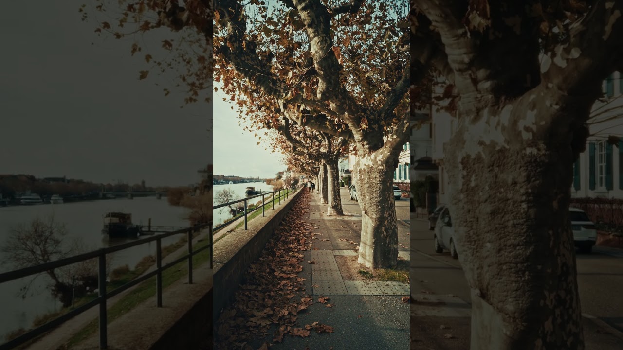 16Bit 5K RAW Footage on Phone - MotionCam Pro - Poco F3 #davinciresolve19 #travel #davinci #phantom