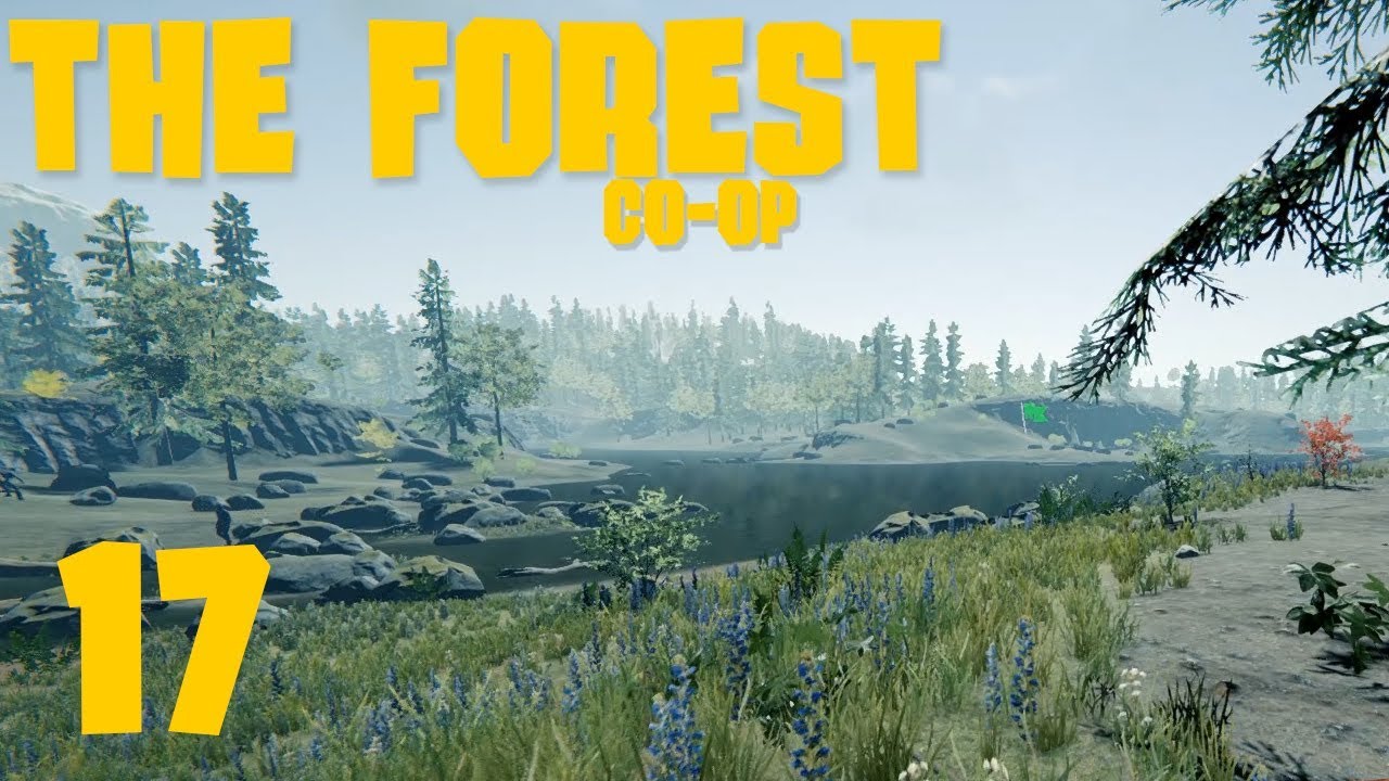 The Forest Co-op | Episode 17 - The Chasm Cave - YouTube