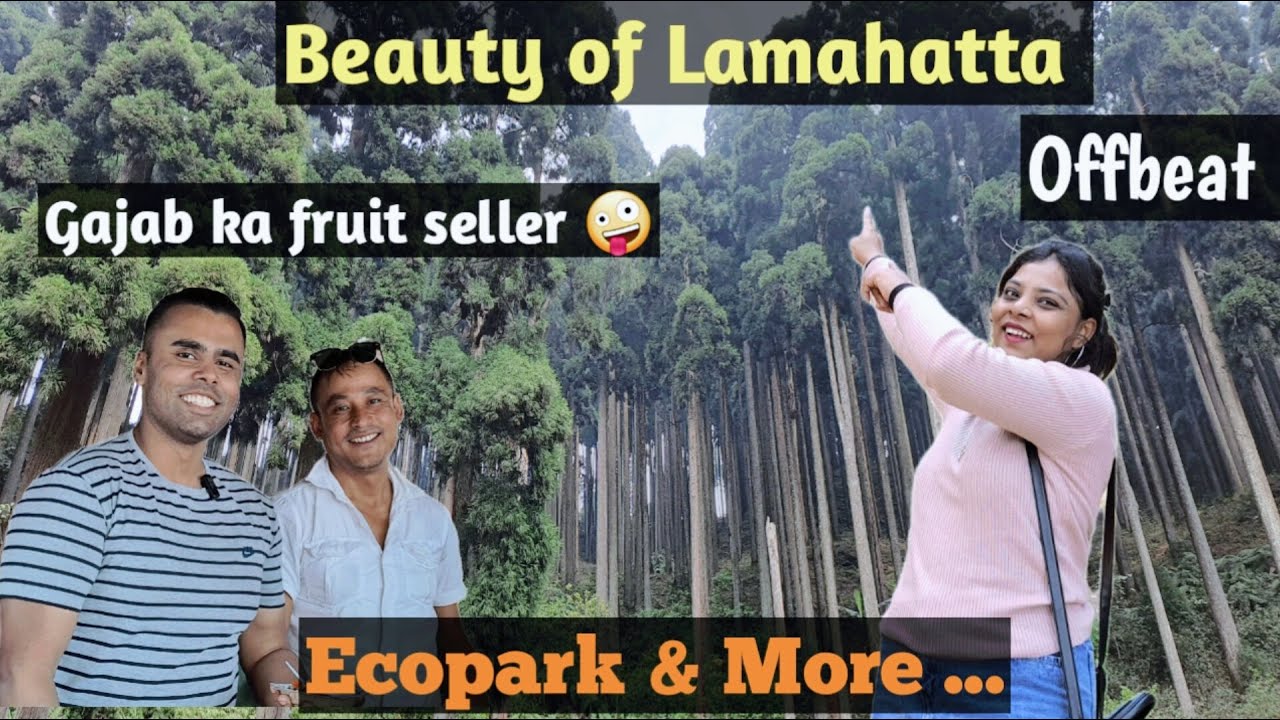 Lamahatta Tour | Lover's Meet View Point | Takdah | Sightseeing ...