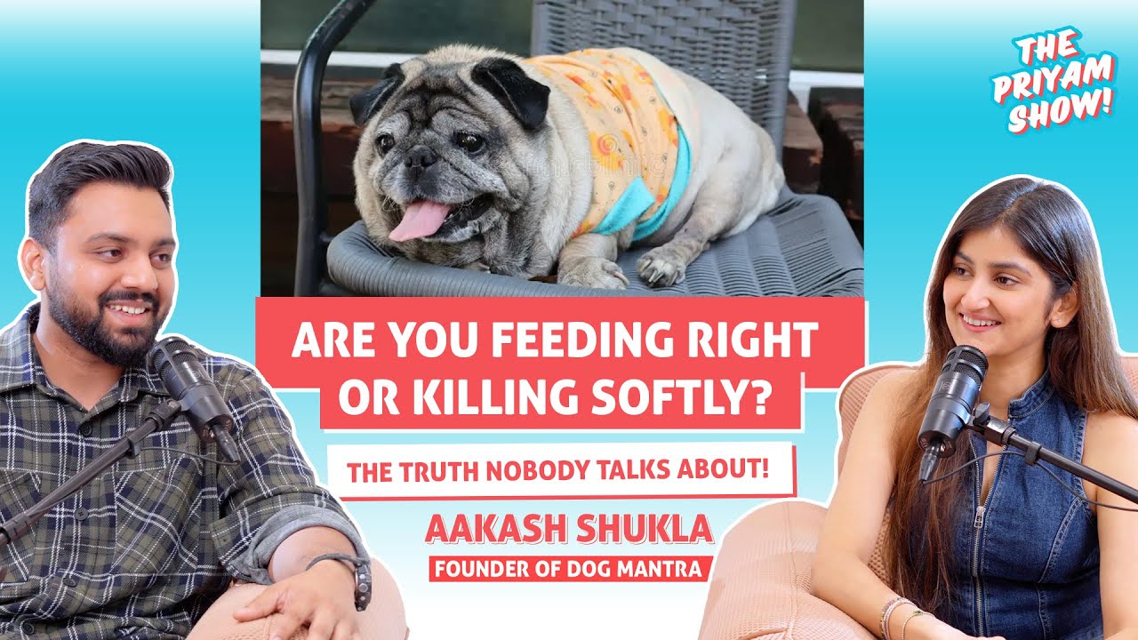 Are You Overfeeding Your Dog? The TRUTH About Dog Nutrition ...