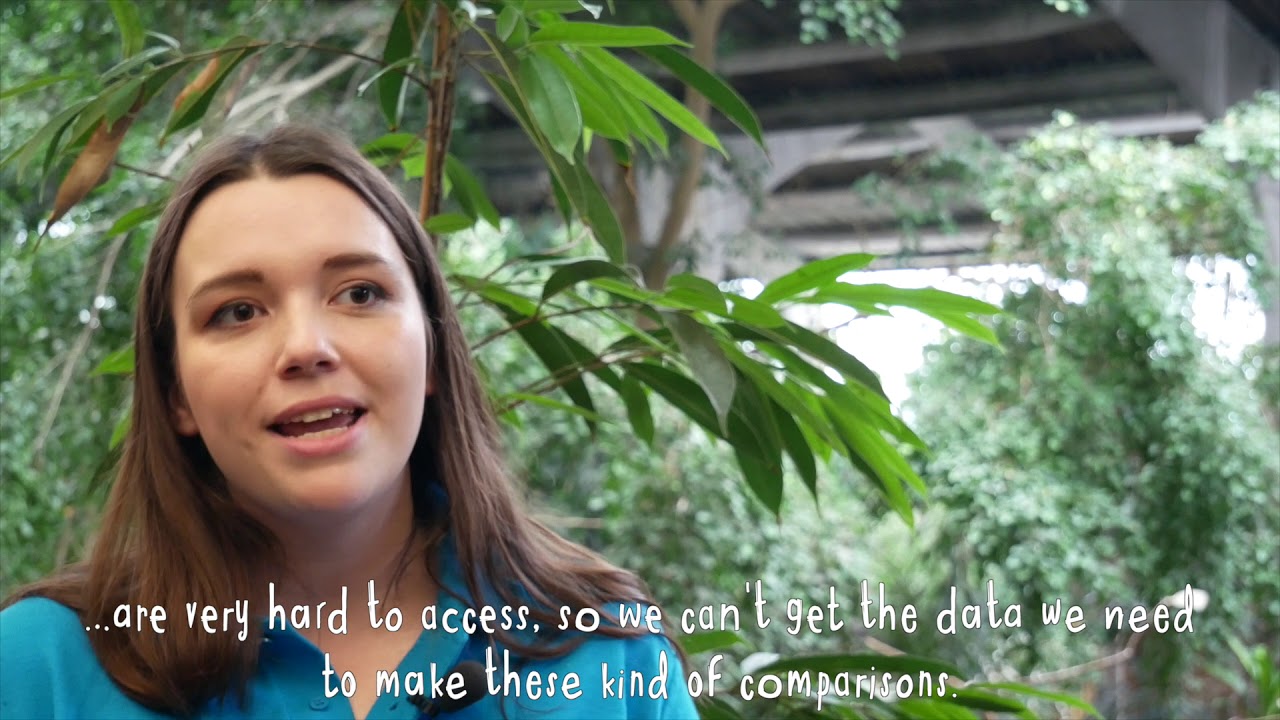 Learn at Chester Zoo - Understanding the impact of birdsong evolution ...