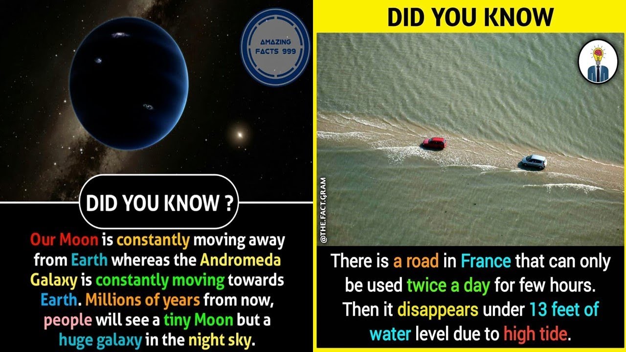 Did You Know Science Facts