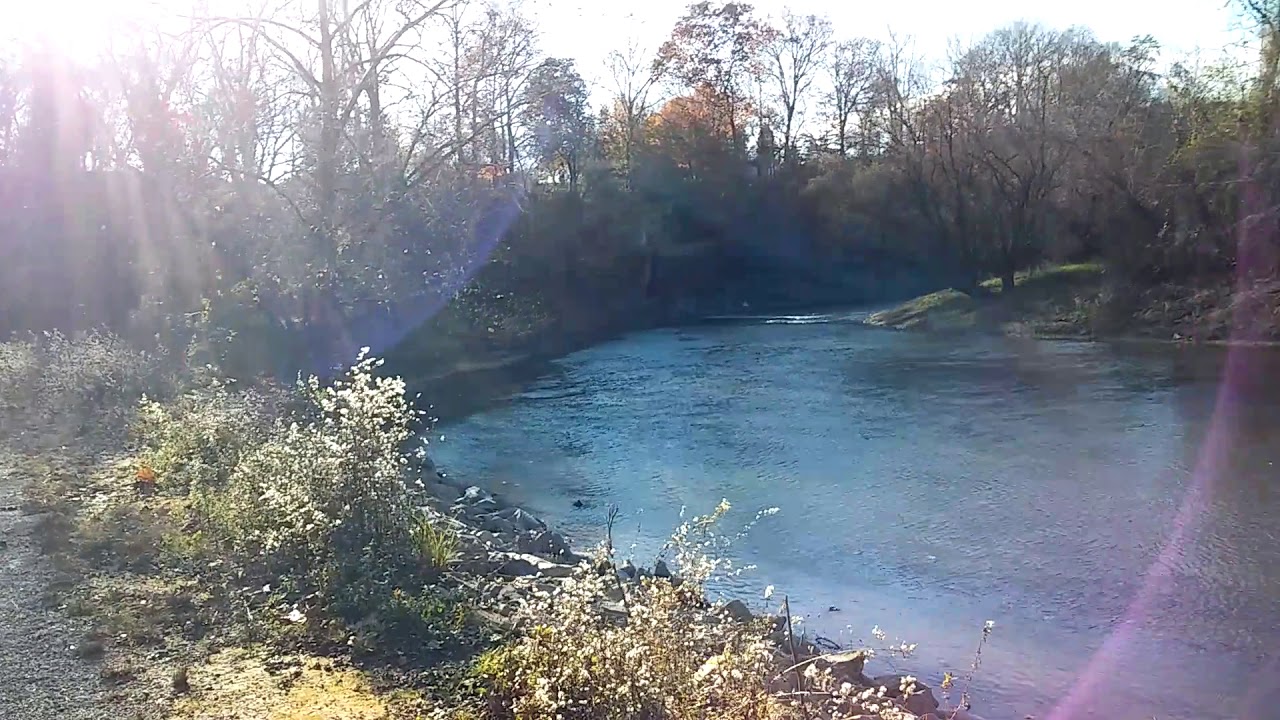 Fisherman's Loop. Murphy River Walk Trail. - YouTube