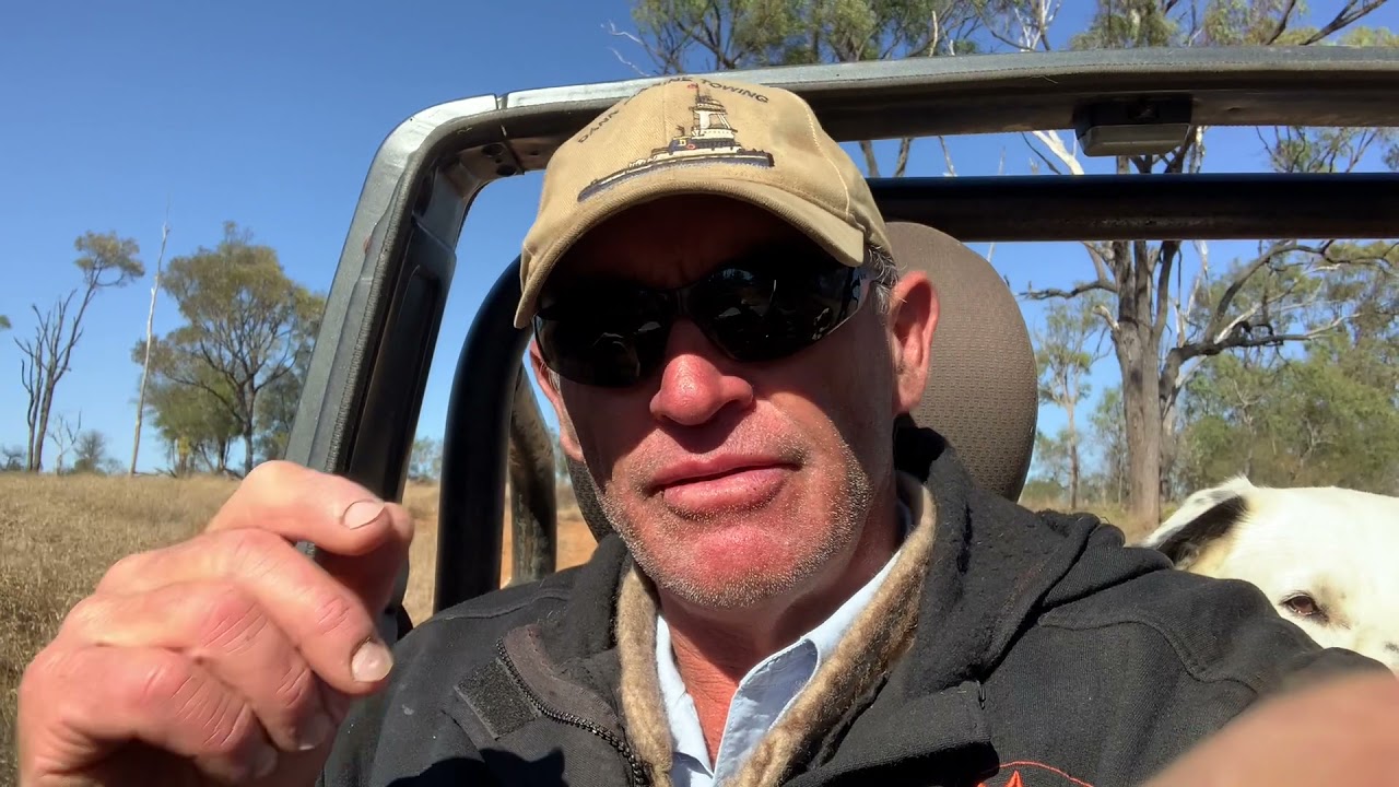 Wild dog trapping with Clark McGhie. - YouTube