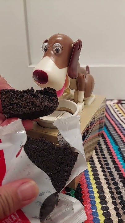 TRENDING ASMR MADDOG WANT BROWNIES CAKE #asmr #maddog #asmrtriggers #satisfying #shorts - YouTube