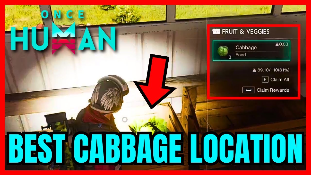 Once Human Best CABBAGE Location (How To Get Cabbage) - YouTube