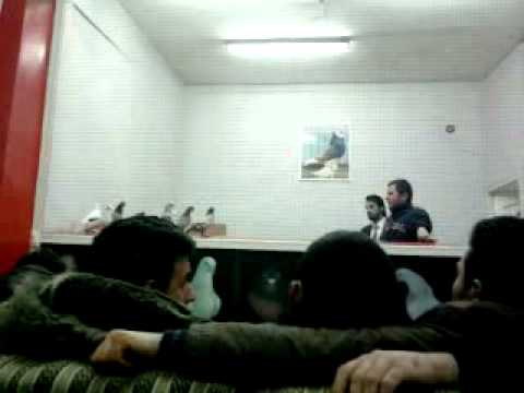 Güvercin ihalesi mezat Ender sunum ( Ataşehir GSVDERNEĞİ Burhan Erkan,Resul Abi )