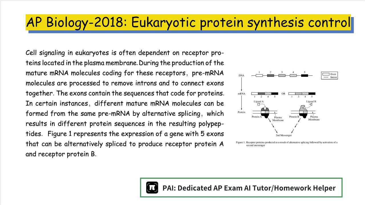 2018 AP Biology: Controlling Protein Synthesis in Eukaryotes:Molecular ...