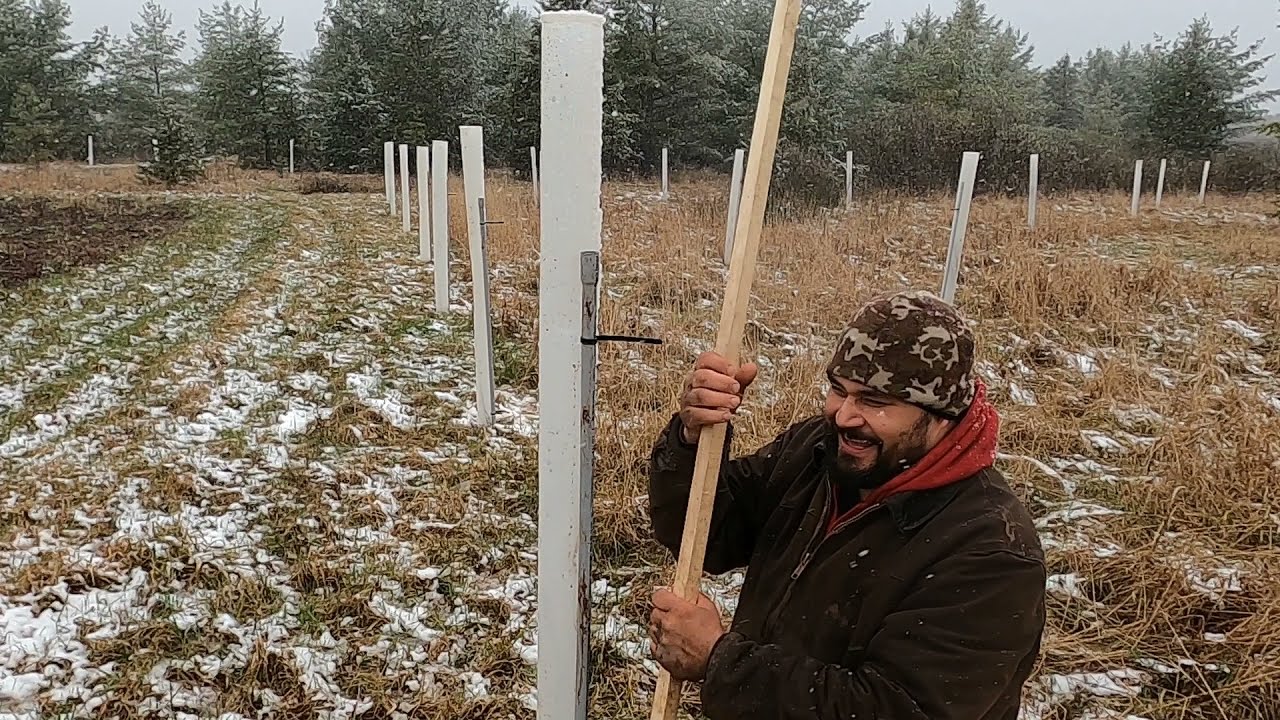 tree tube stakes - YouTube