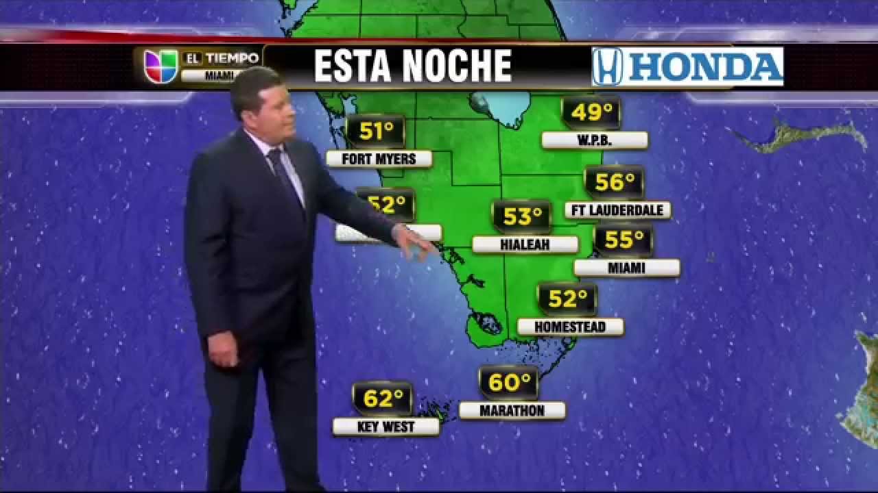Cat Interrupts Weather Forecast - YouTube