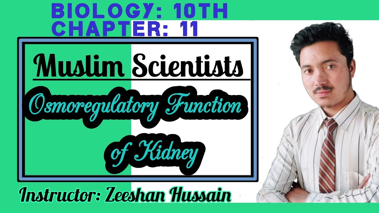 Class 10th Chapter 11 Osmoregulatory Function of Kidney - YouTube