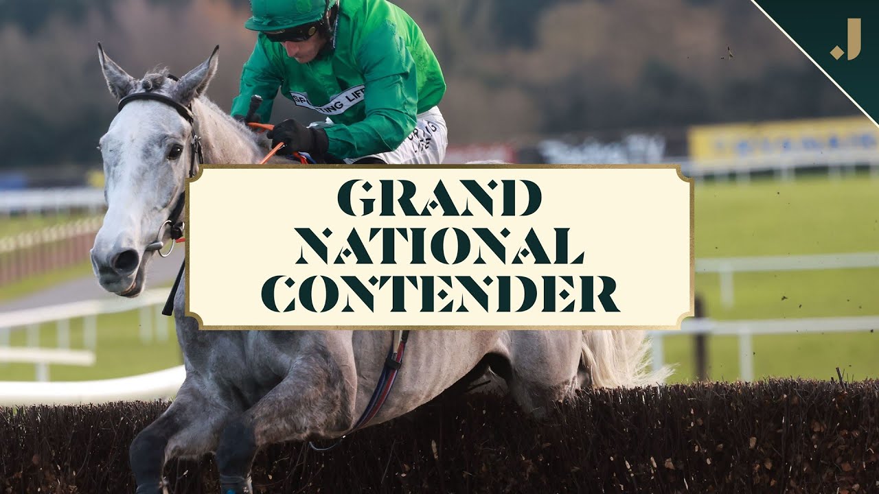 How this glorious grey became a Randox Grand National contender ...