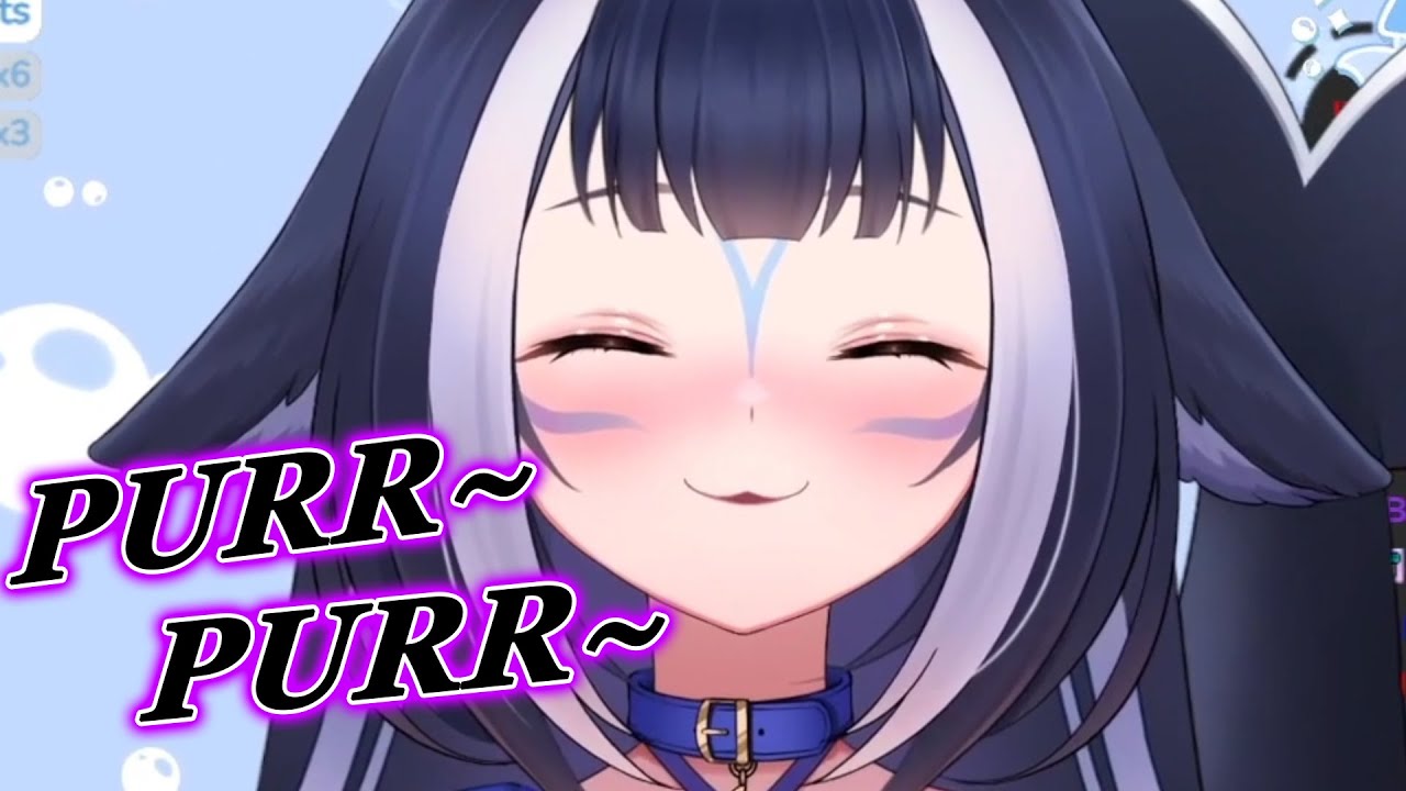 Lily blessing chat with some PURRING - YouTube