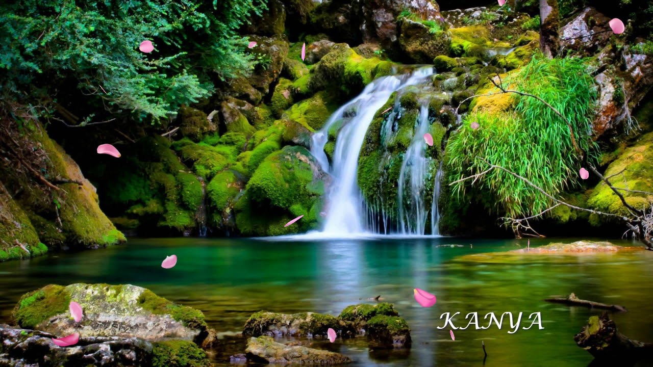 #moovendar - YouTube