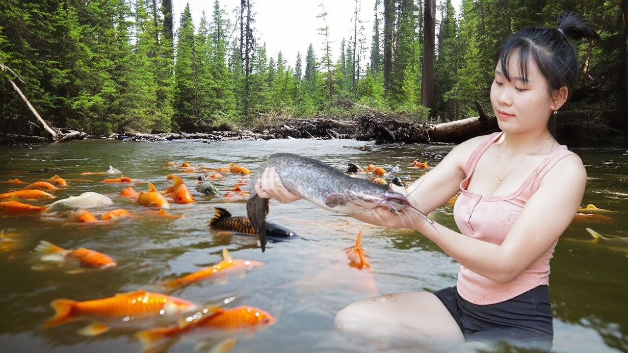 TOP Big Fish - Big Fish Catching in the Forest | Catch Many Of Fish, Traps Fish, Survival ...