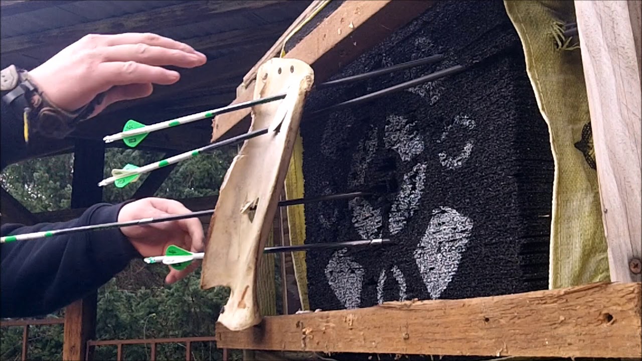 Magnus Blackhornet Broadhead VS Elk Scapula - YouTube