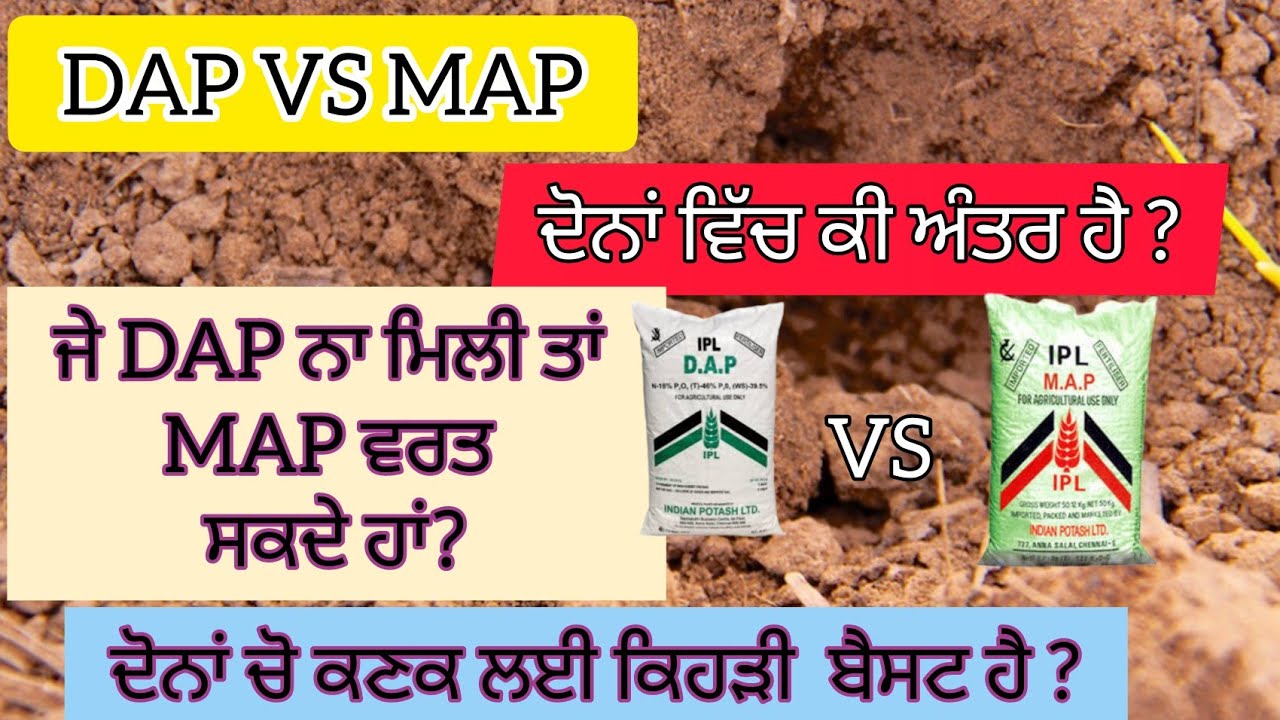 DAP VS MAP ਦੋਨਾਂ ਵਿੱਚ ‌ਕੀ ਅੰਤਰ ਹੈ ?What is the difference between #DAP ...