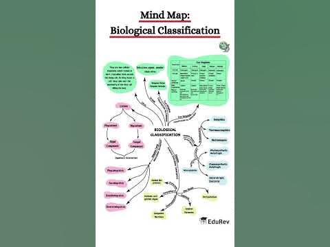 Biological Classification Mind Map for NEET | Very Easy Biology Notes # ...