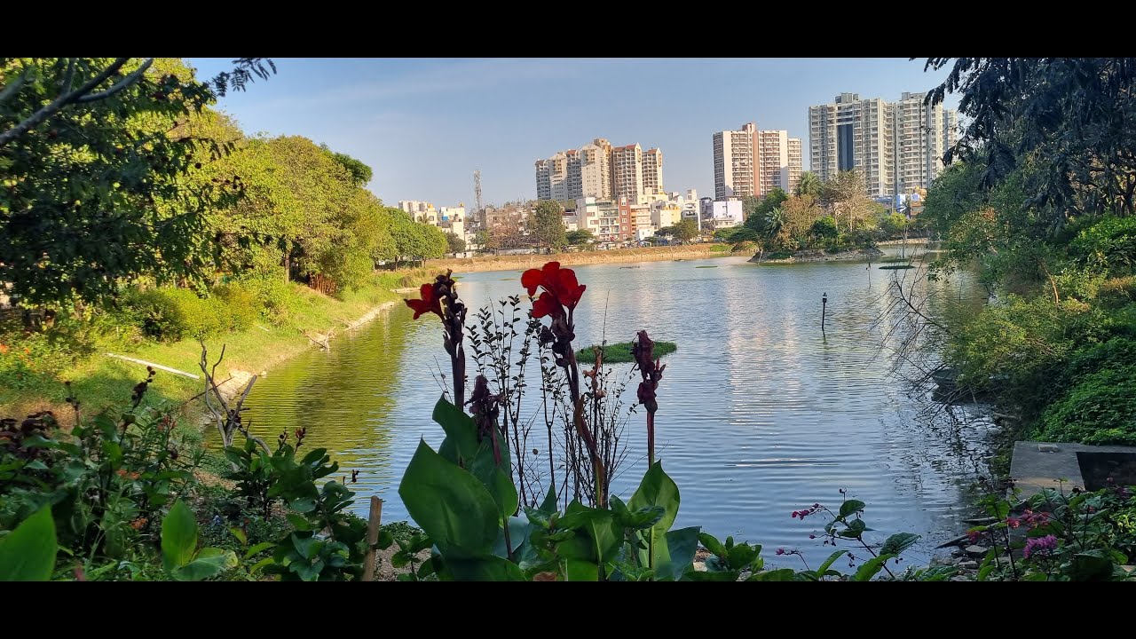 Evolution of Puttenahalli lake , JP Nagar - YouTube