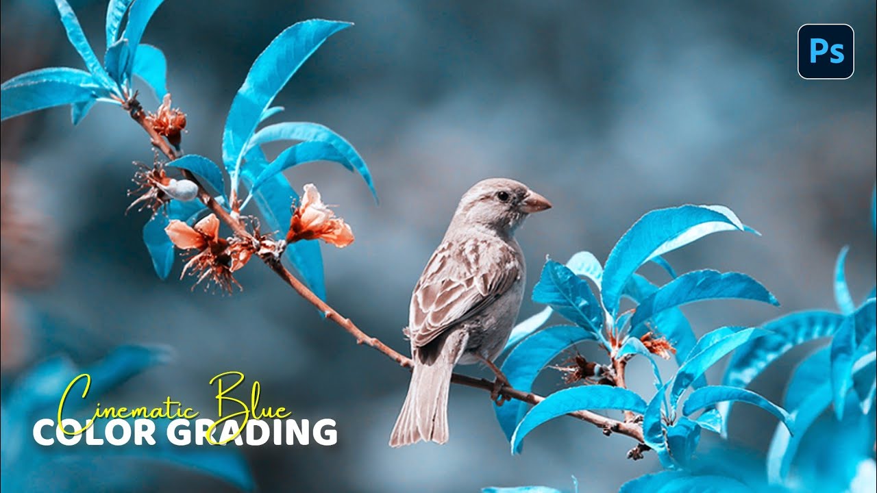 Blue Tone Photo Editing in Photoshop | Cinematic Color Grading Tutorial ...