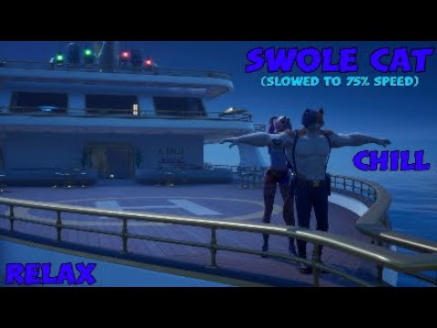 Fortnite SWOLE CAT (Slowed To 75% Speed) With Meowscles - YouTube