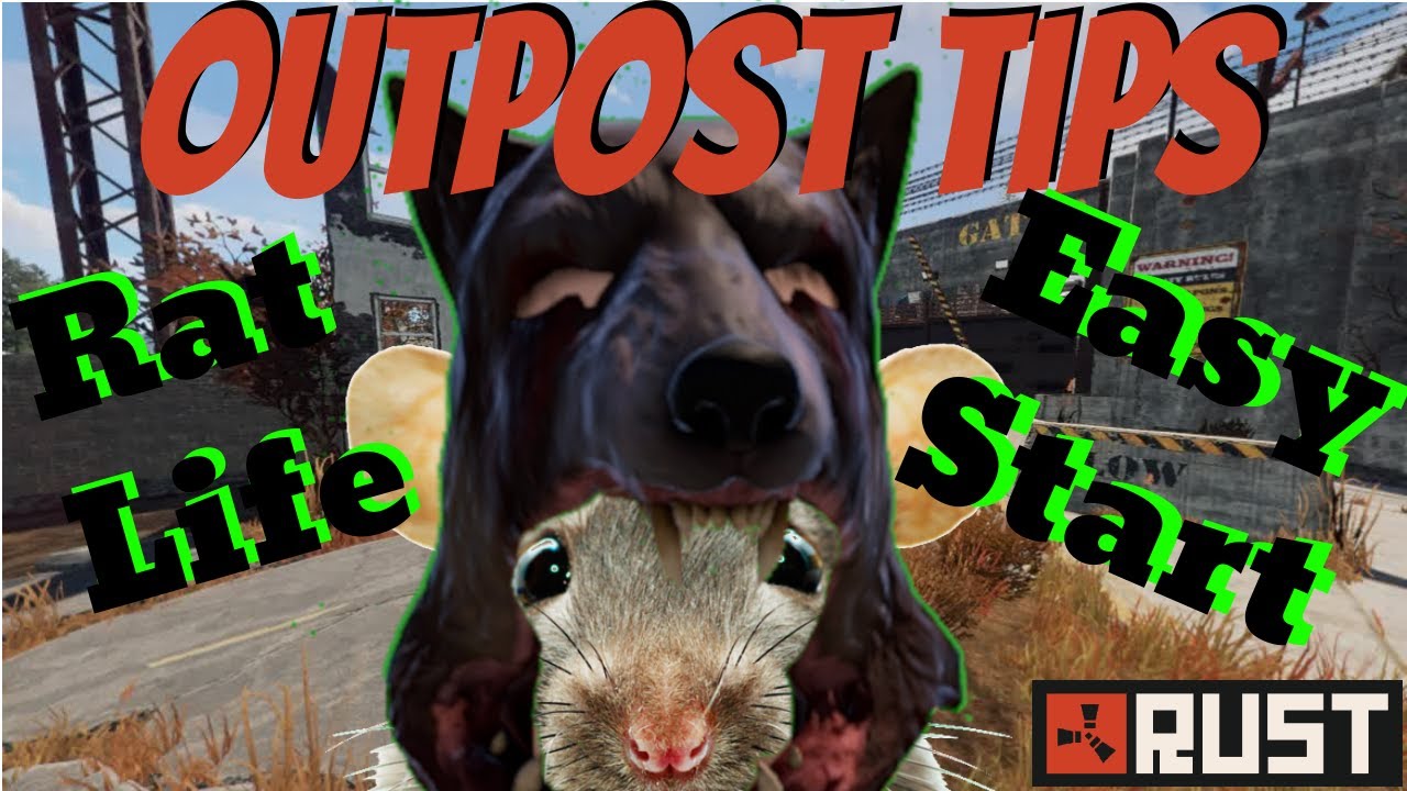 Beginners Guide To Living Like a Rat In Outpost - YouTube