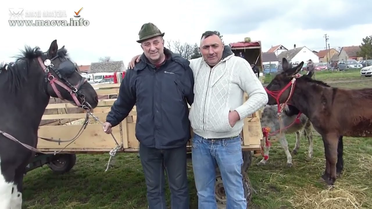 Vasar u Rumi konji - YouTube