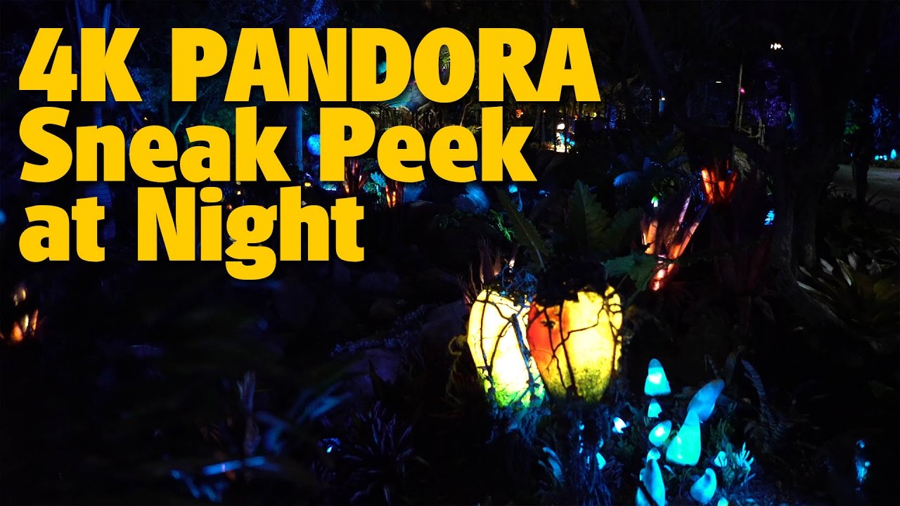 4K Nighttime Sneak Peek of Pandora - The World of AVATAR | Animal ...
