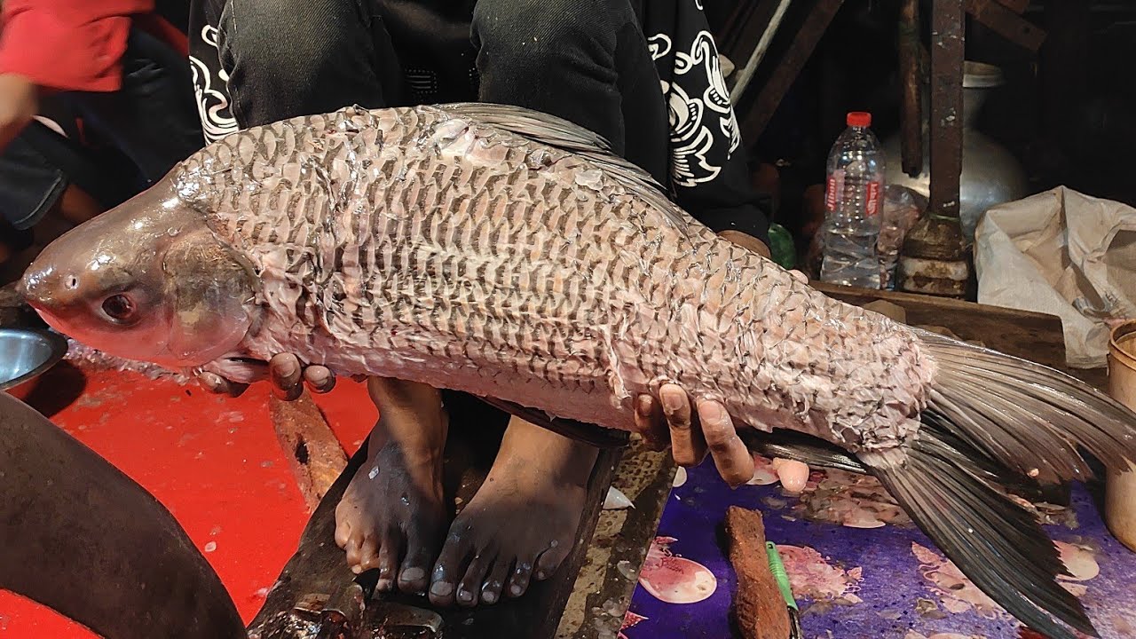 2,800 BDT Rui Fish (28$) Big Fish || 7KG Cutting Fish Skill Boy - YouTube