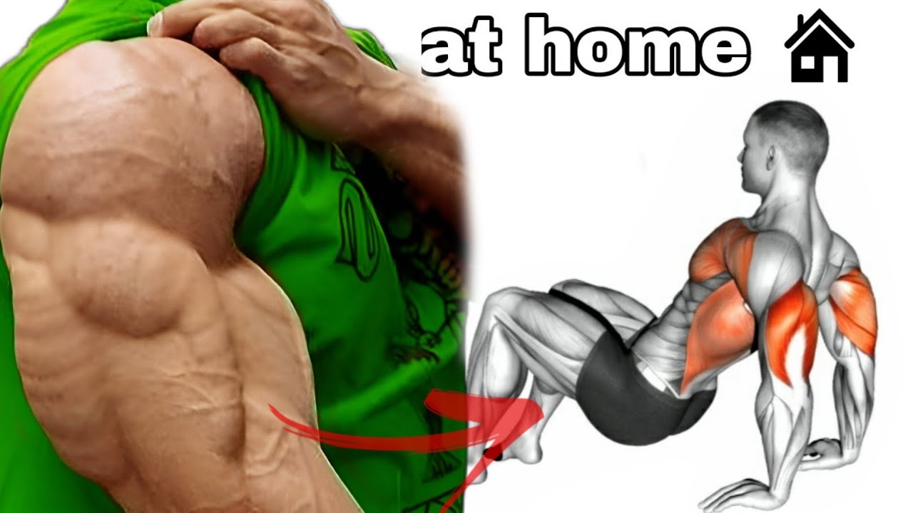 The 6 best exercises to build triceps muscles at home - YouTube