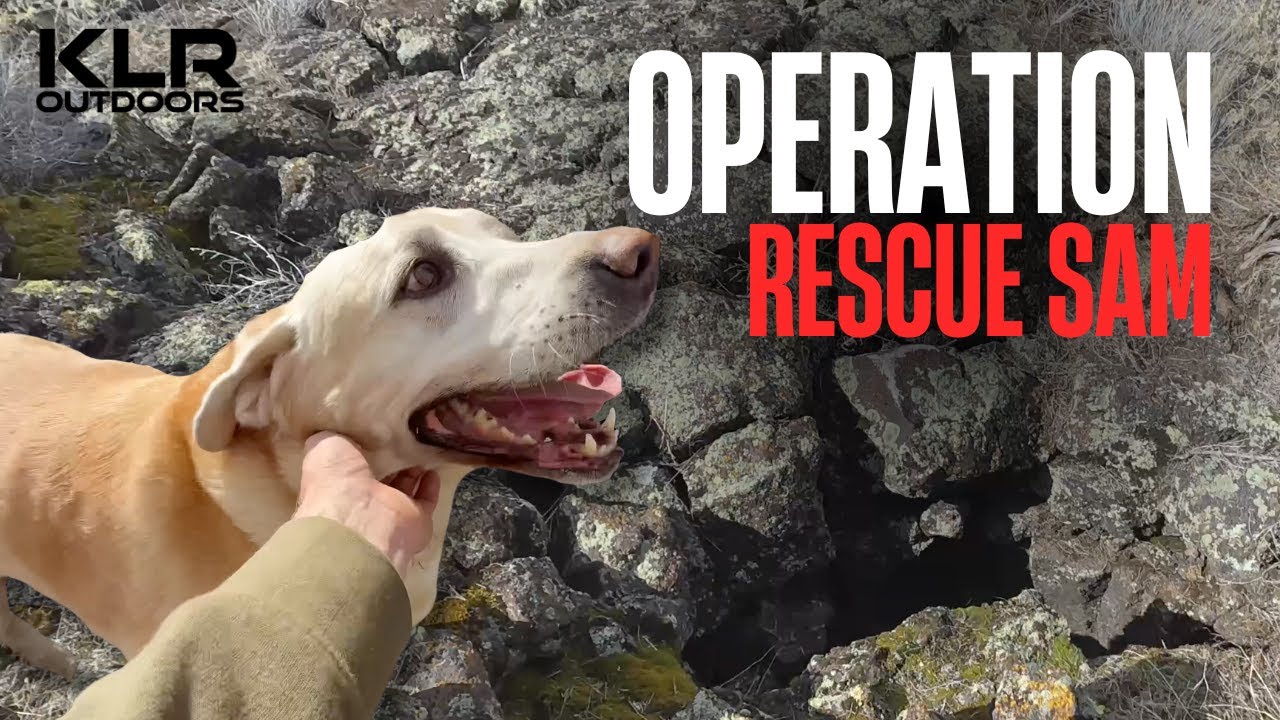 Dog trapped in 25-foot Crevice - Operation Rescue Sam! - YouTube