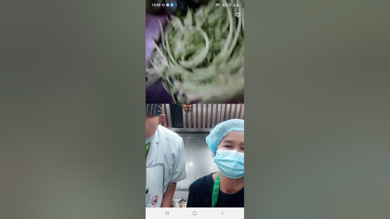 27 ธันวาคม ค.ศ. 2024 - YouTube