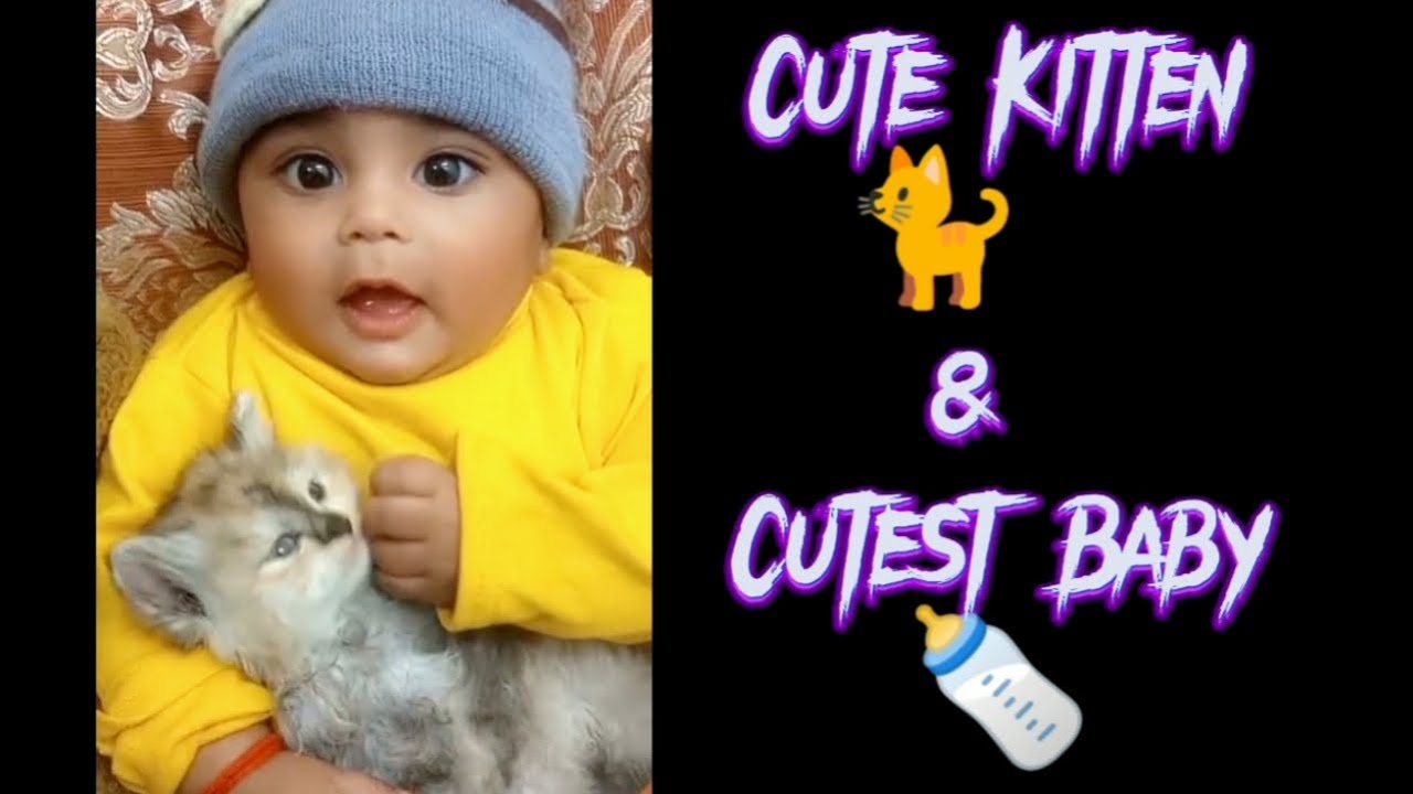 cute cats and cutest Baby || Hush Cats - YouTube