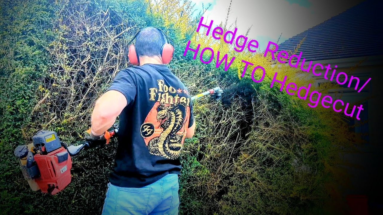 Hedge Reduction/HOW TO Use Your Hedge Trimmer ️ - YouTube