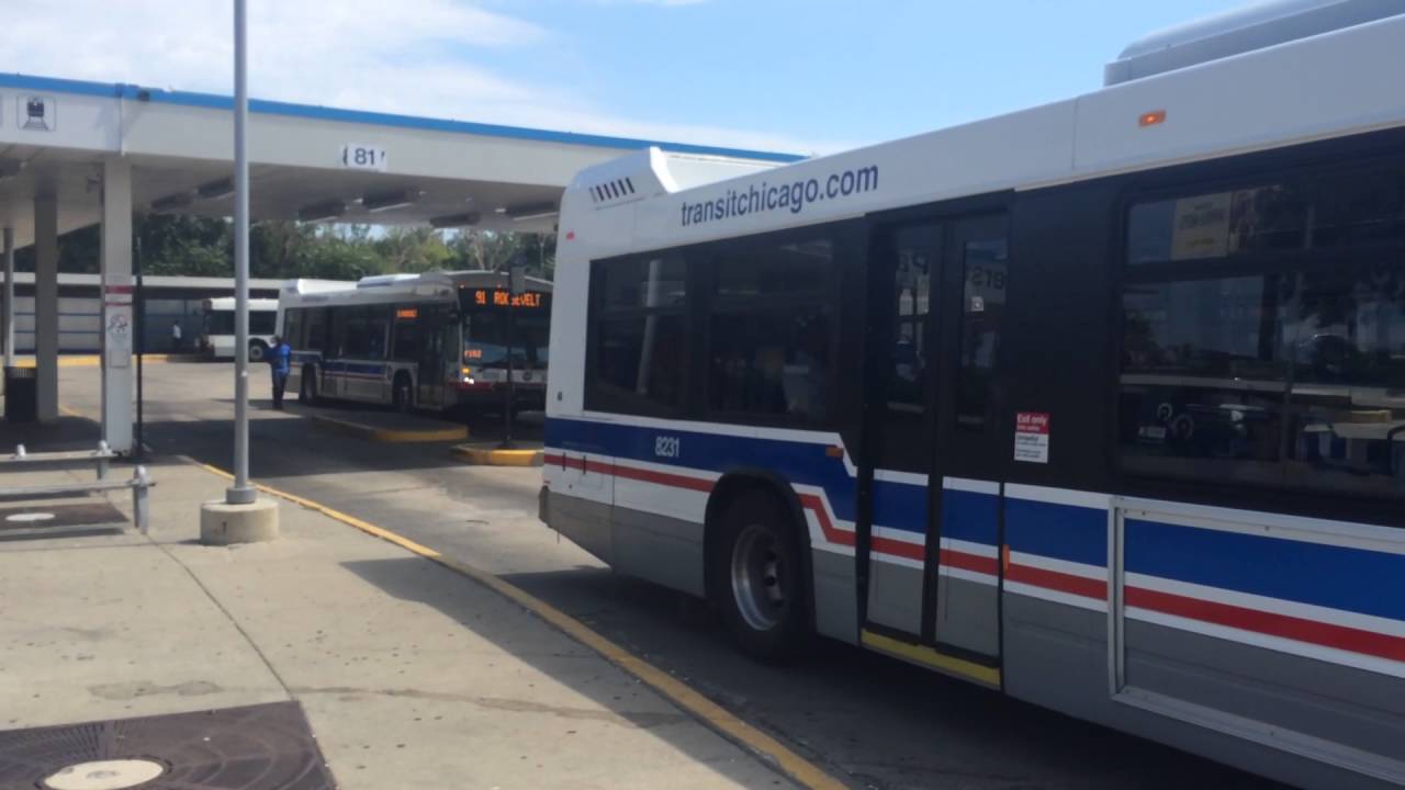 CTA All New Nova Bus 81 Lawrence - YouTube