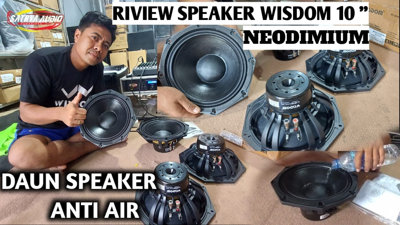 Riview speaker wisdom D-10C neo cocok buat line array - YouTube