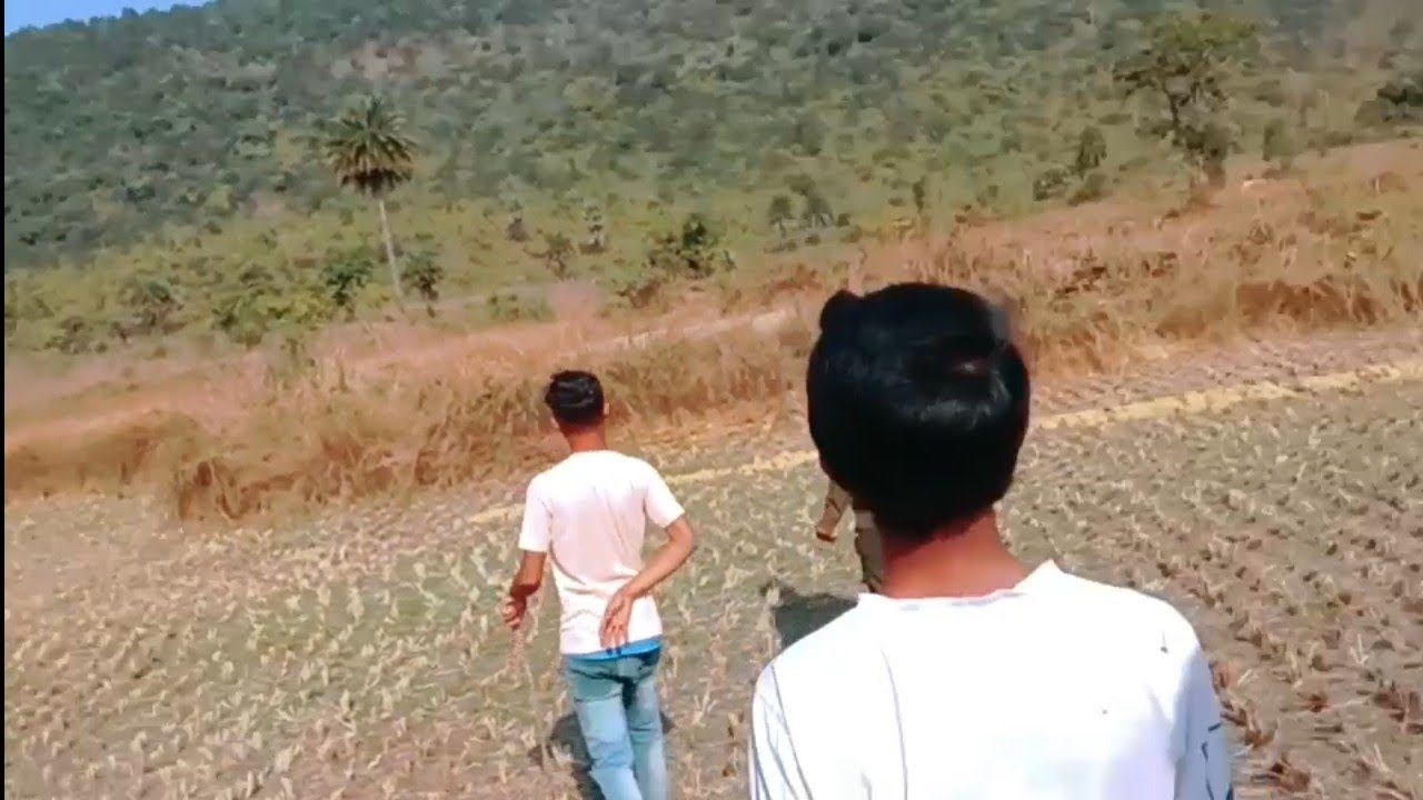 Babu Bhaiya vlog || My First Vlog+For The Forest Going || Very Dangerous Adventure - YouTube